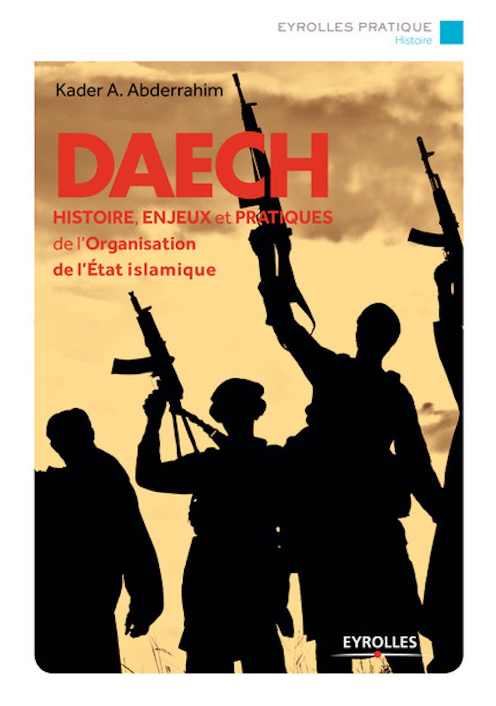 Daech : Histoire, enjeux et pratiques de l’Organisation de l’Etat ...